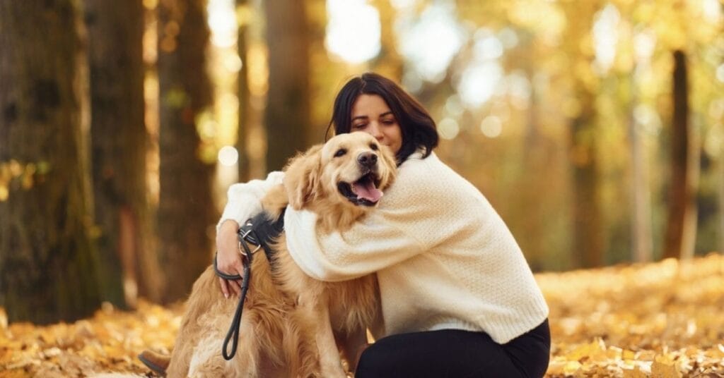 Golden Retriever Breed Information | PetMade