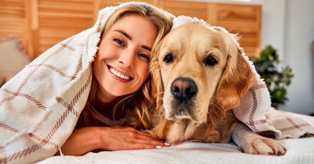 5 Common Golden Retriever Health Problems | PetMade